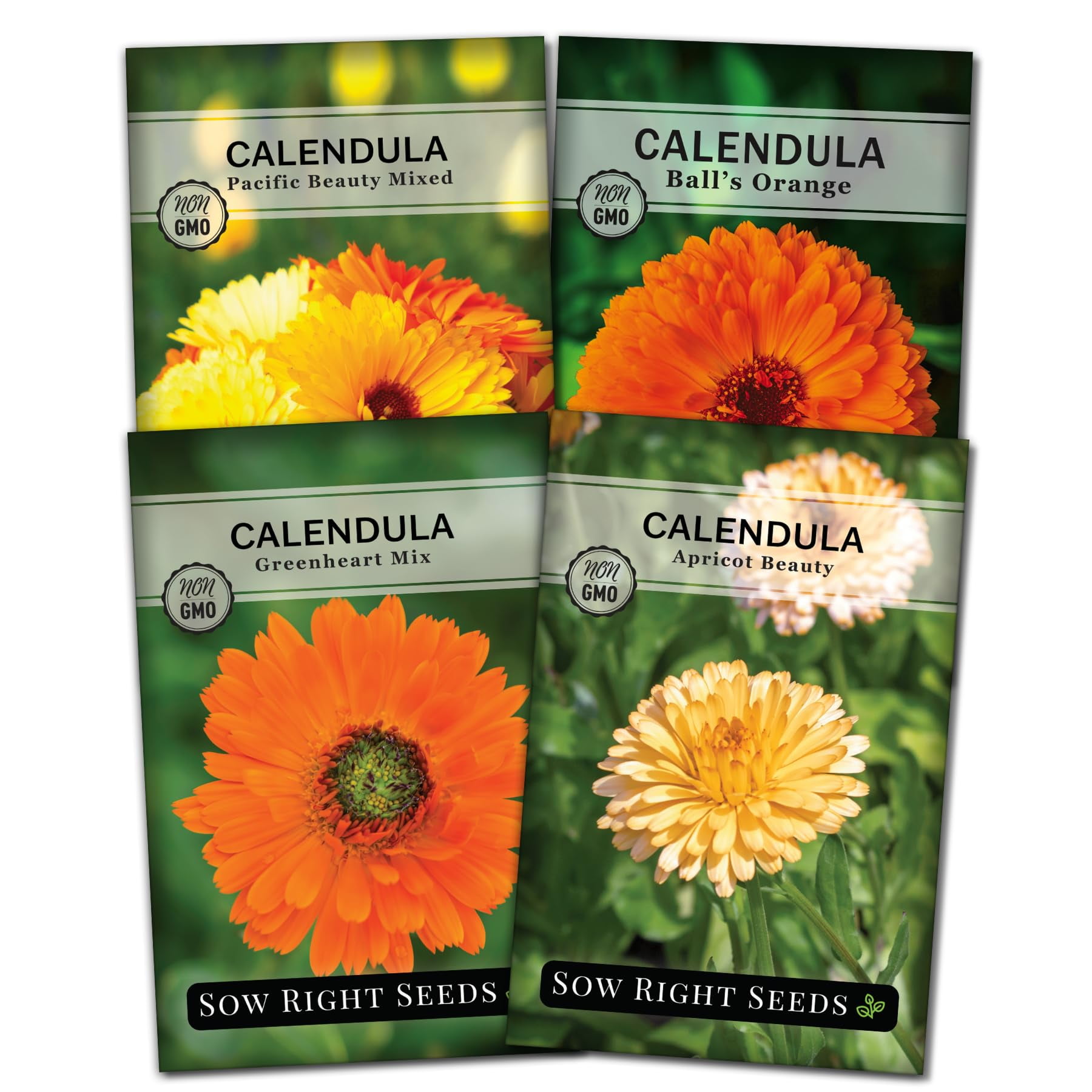 Sow Right Seeds TWE5 - Calendula Seed Collection for Non-GMO Heirloom ...