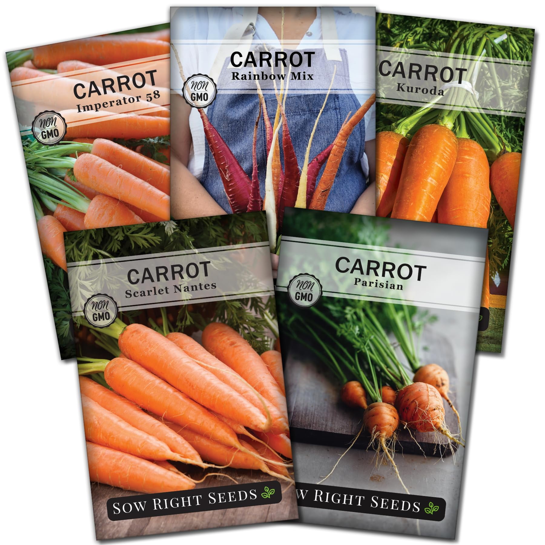 Sow Right Seeds TWE5 - Carrot Seed Collection for Rainbow, Nantes ...
