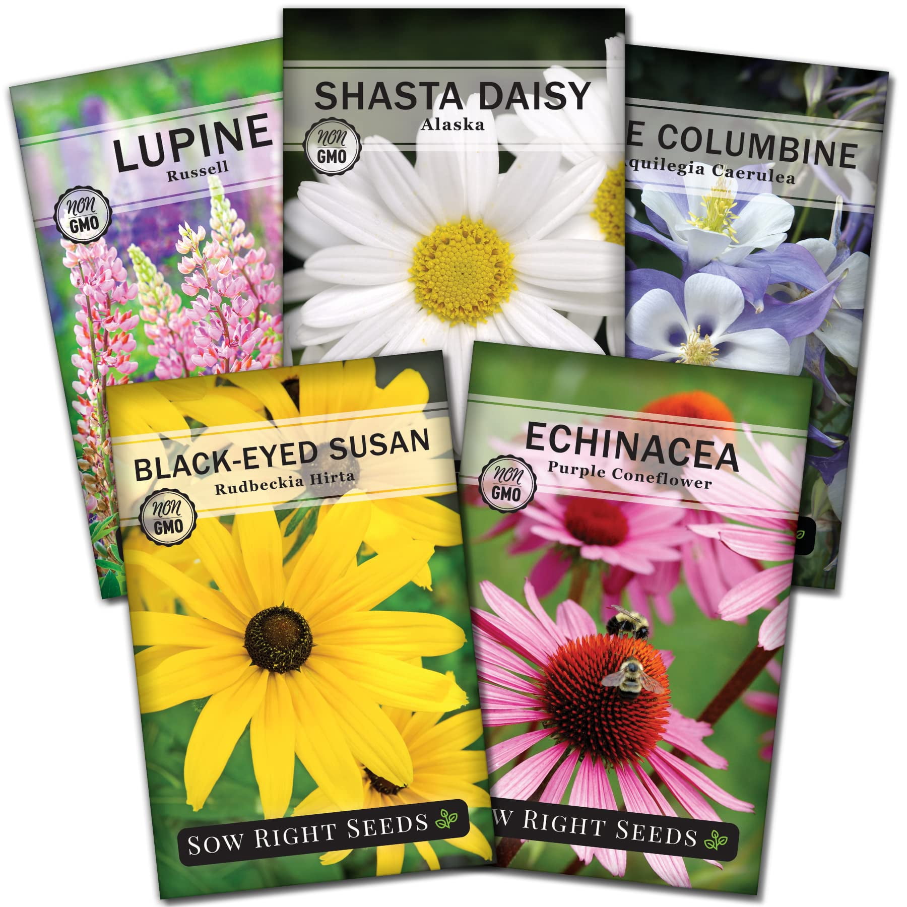 Sow Right Seeds TWE5 - Perennial 5 Flower Garden for Planting - Russell ...