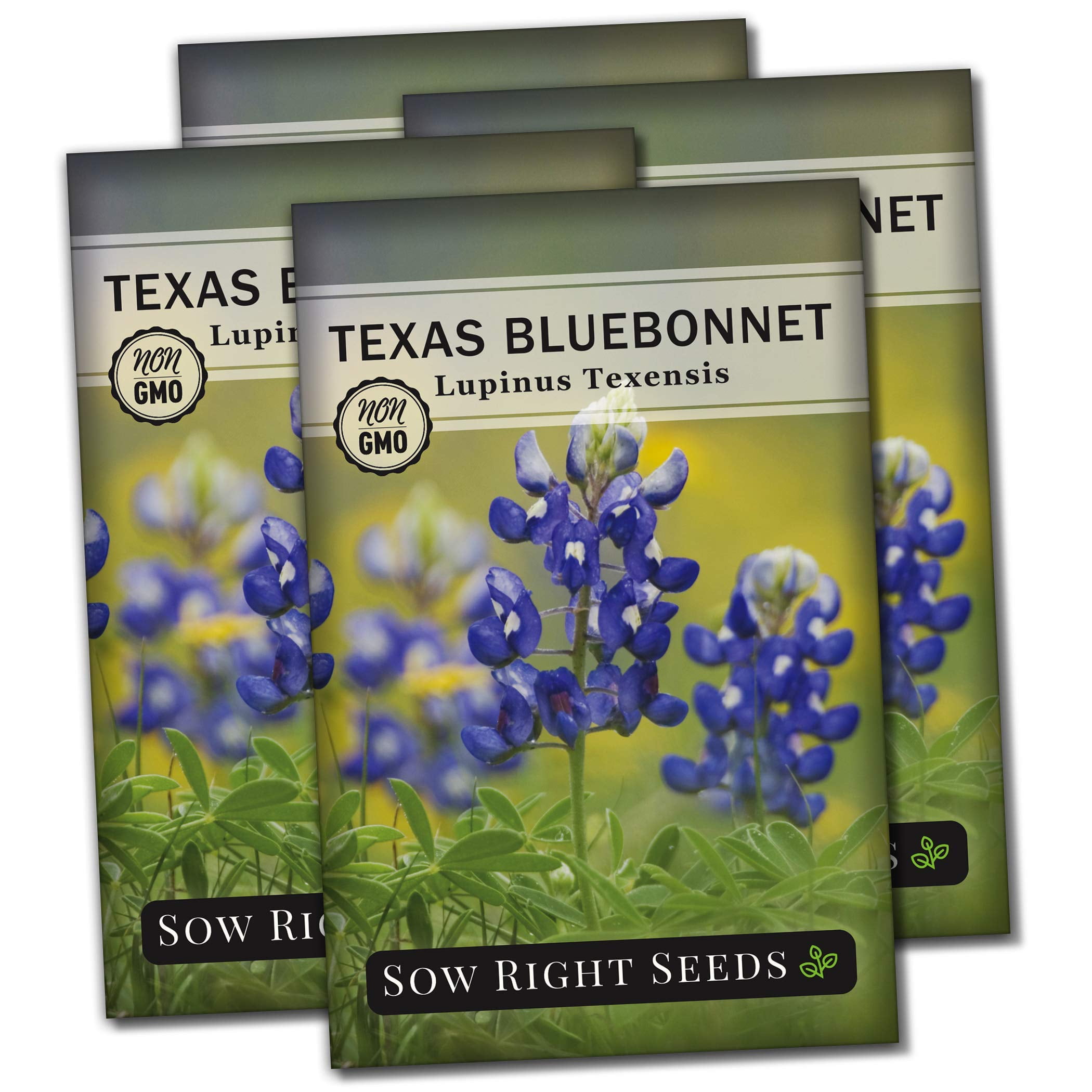 Sow Right Seeds TWE5 - Texas Bluebonnet Seeds to Plant - Non-GMO ...