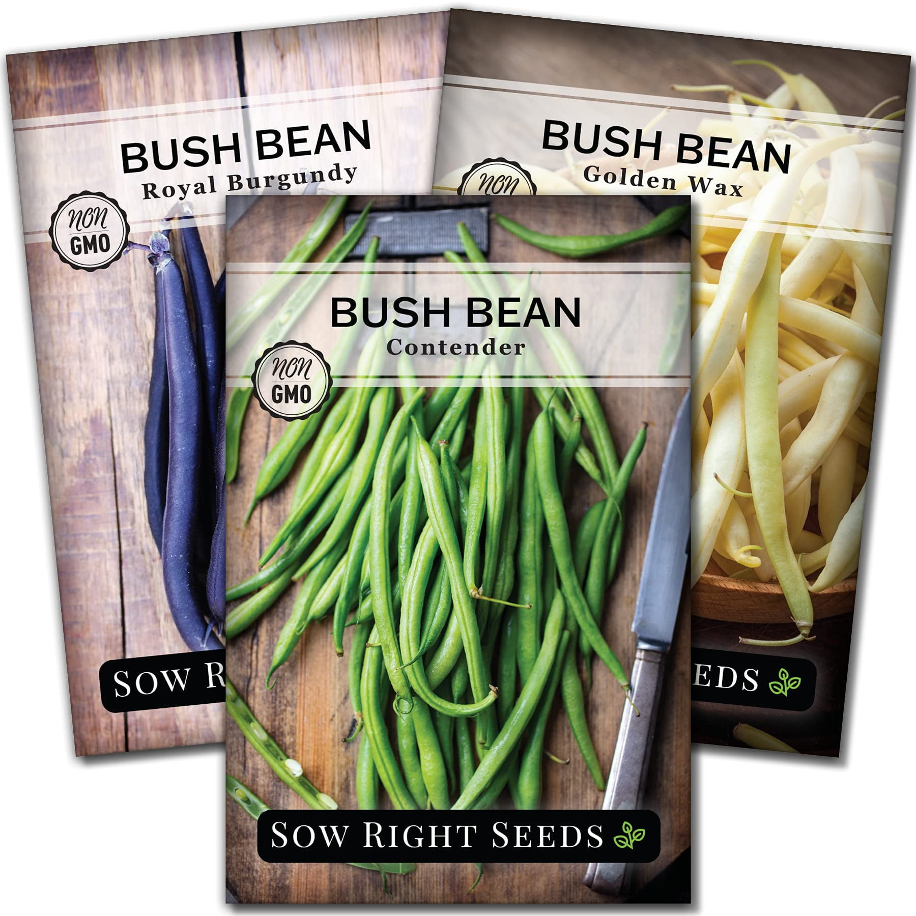 Sow Right Seeds - Tri Color Bush MHD1Bean Seed for Planting ...