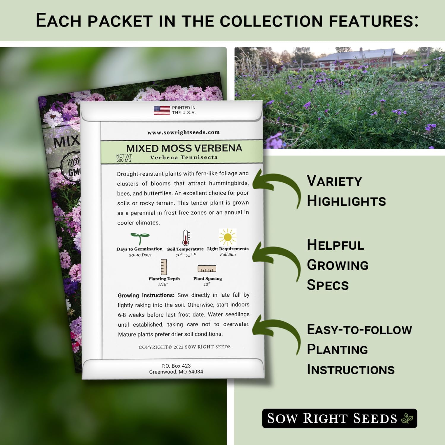 Sow Right Seeds - Verbena Flower Seeds H2FSDfor Planting - and Ideal Florist Mix - Excellent ...