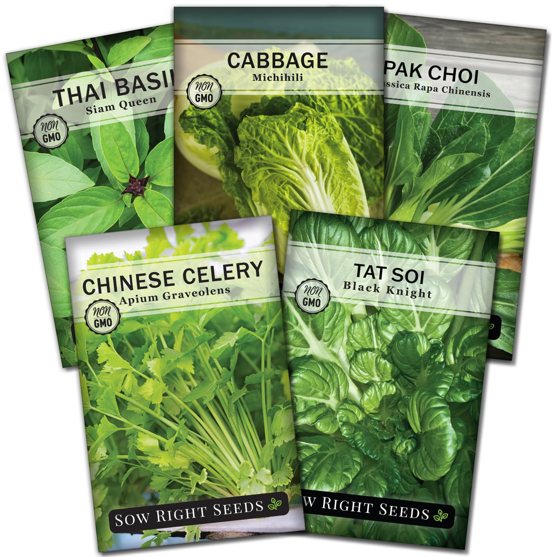 Sow Right SeedsEGSC - Asian Greens Collection for Planting - Packets Thai Basil, Pak Choi ...