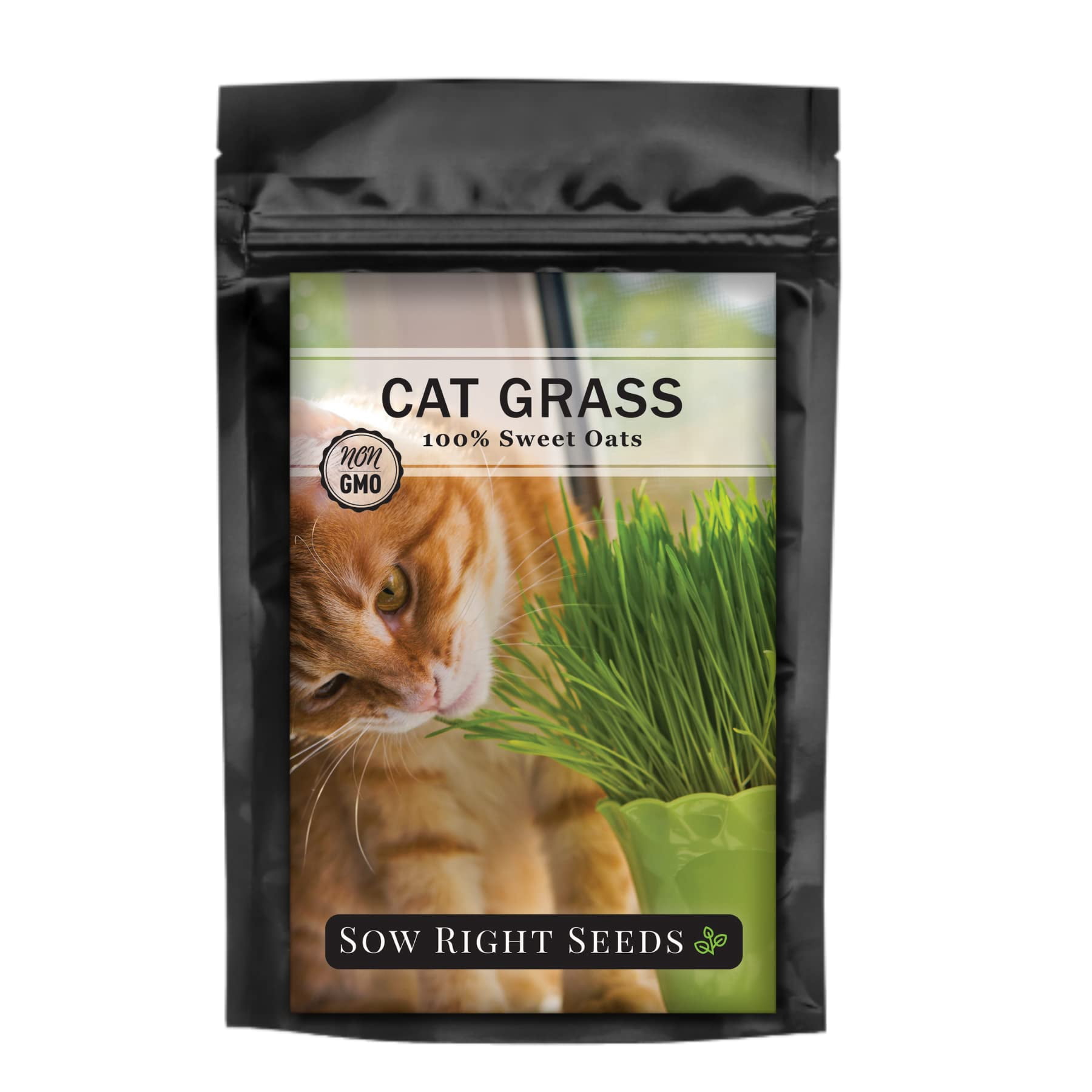 Sow Right SeedsEGSC - Bulk Cat Grass Seeds for 8 oz - Non-GMO Heirloom ...