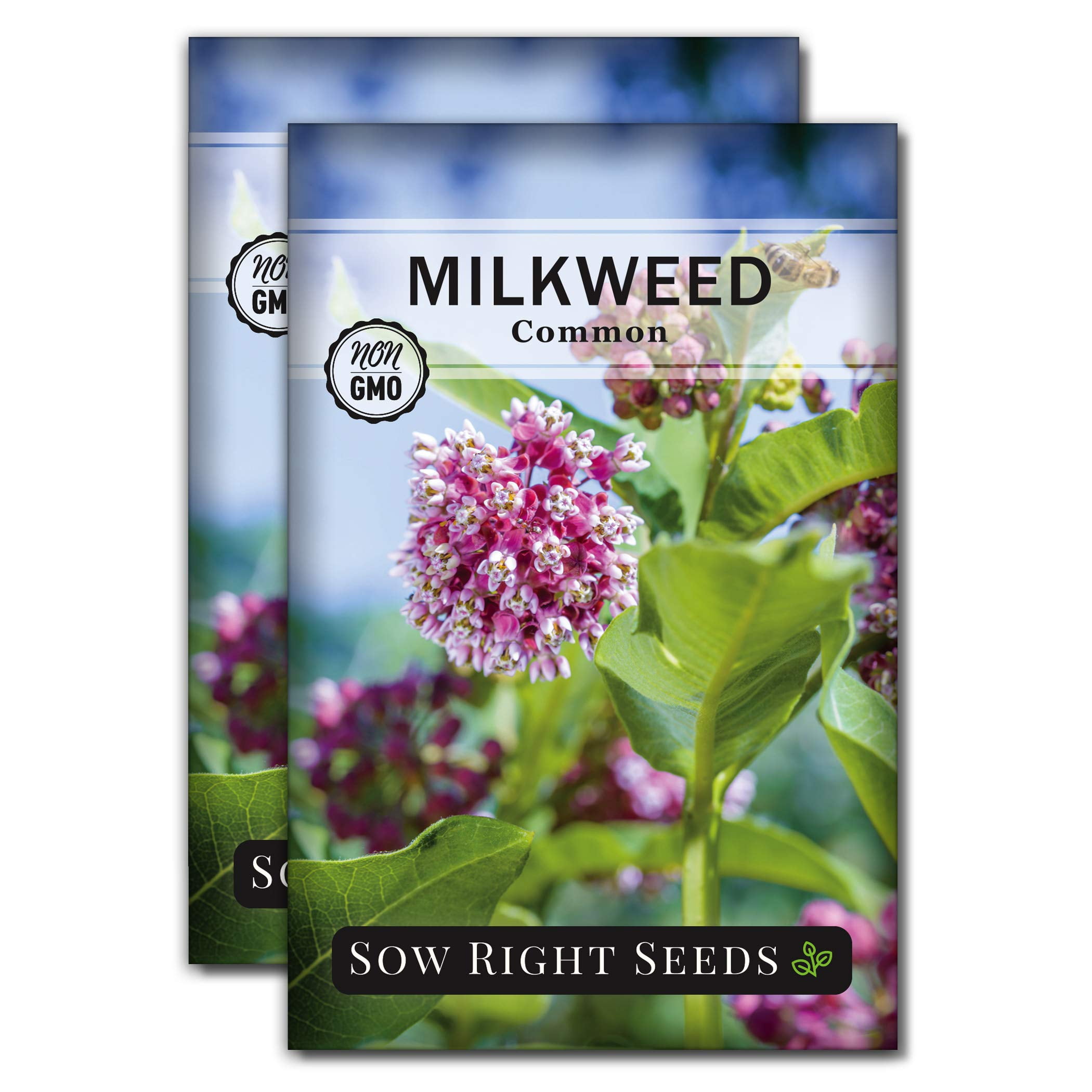 Sow Right SeedsITSC - Common Milkweed Seeds for Planting - Monarch ...