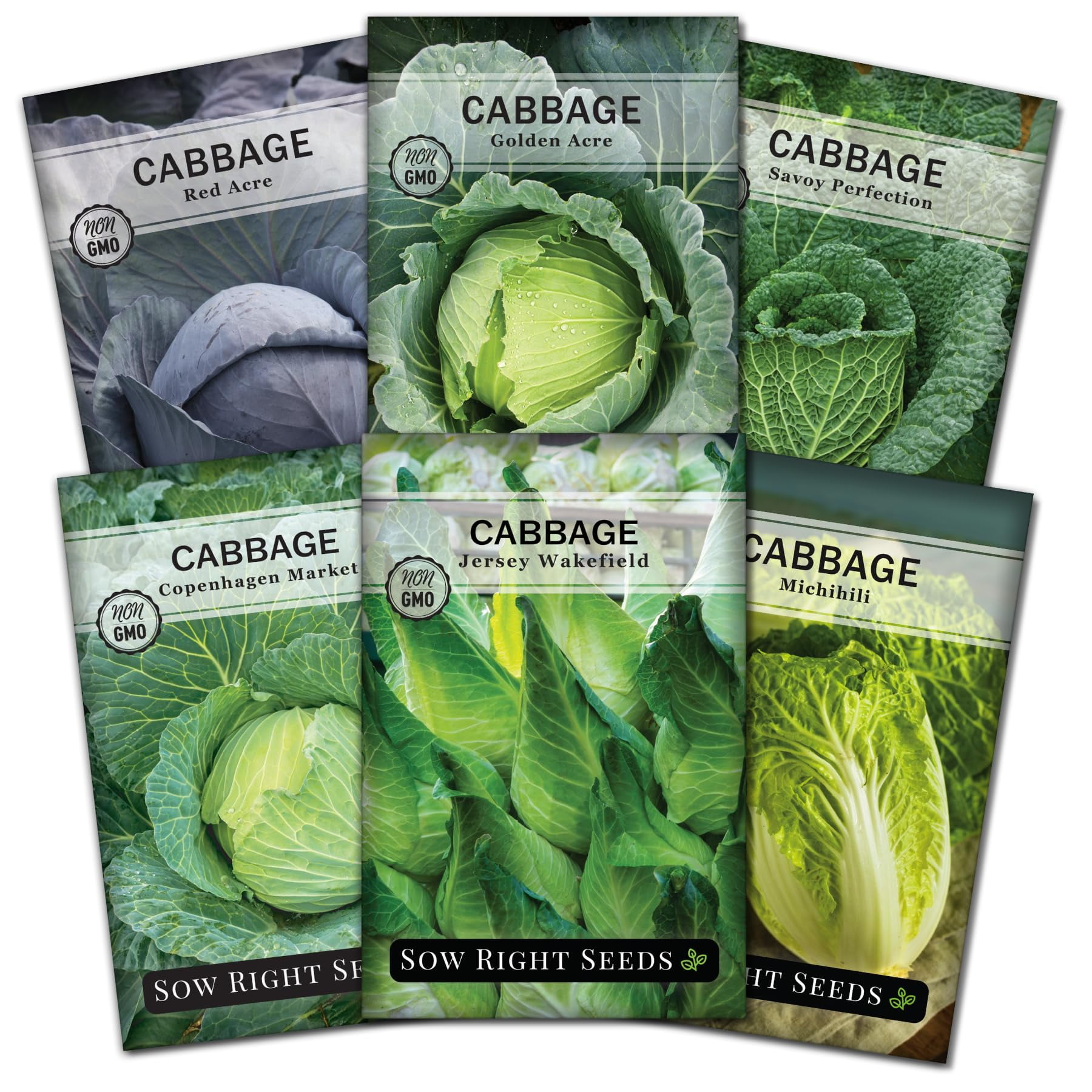 Sow Right SeedsUMRT - Cabbage Seed Collection for Planting - Jersey ...