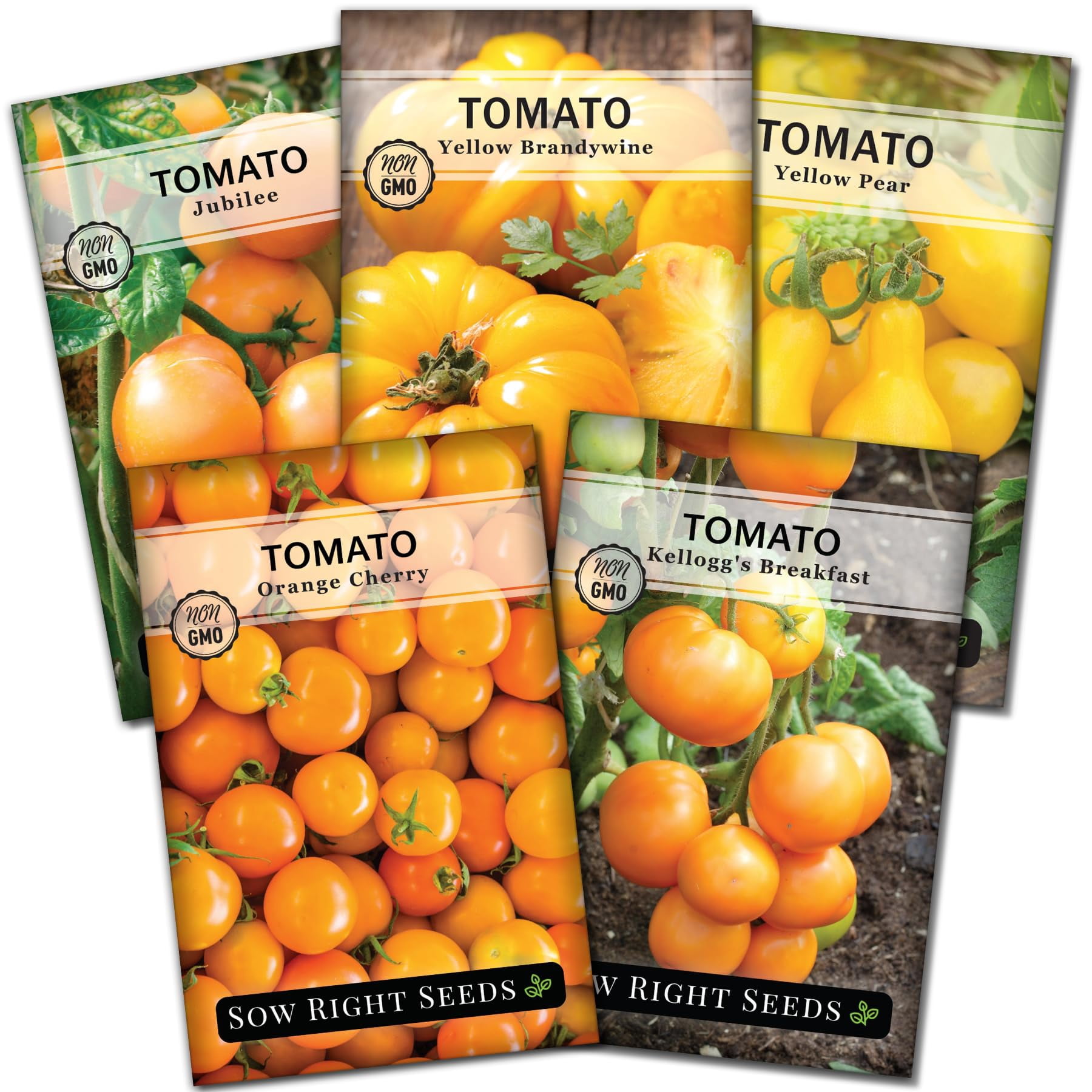 Sow Right SeedsUMRT - Yellow and Orange Tomato Seed for Planting ...