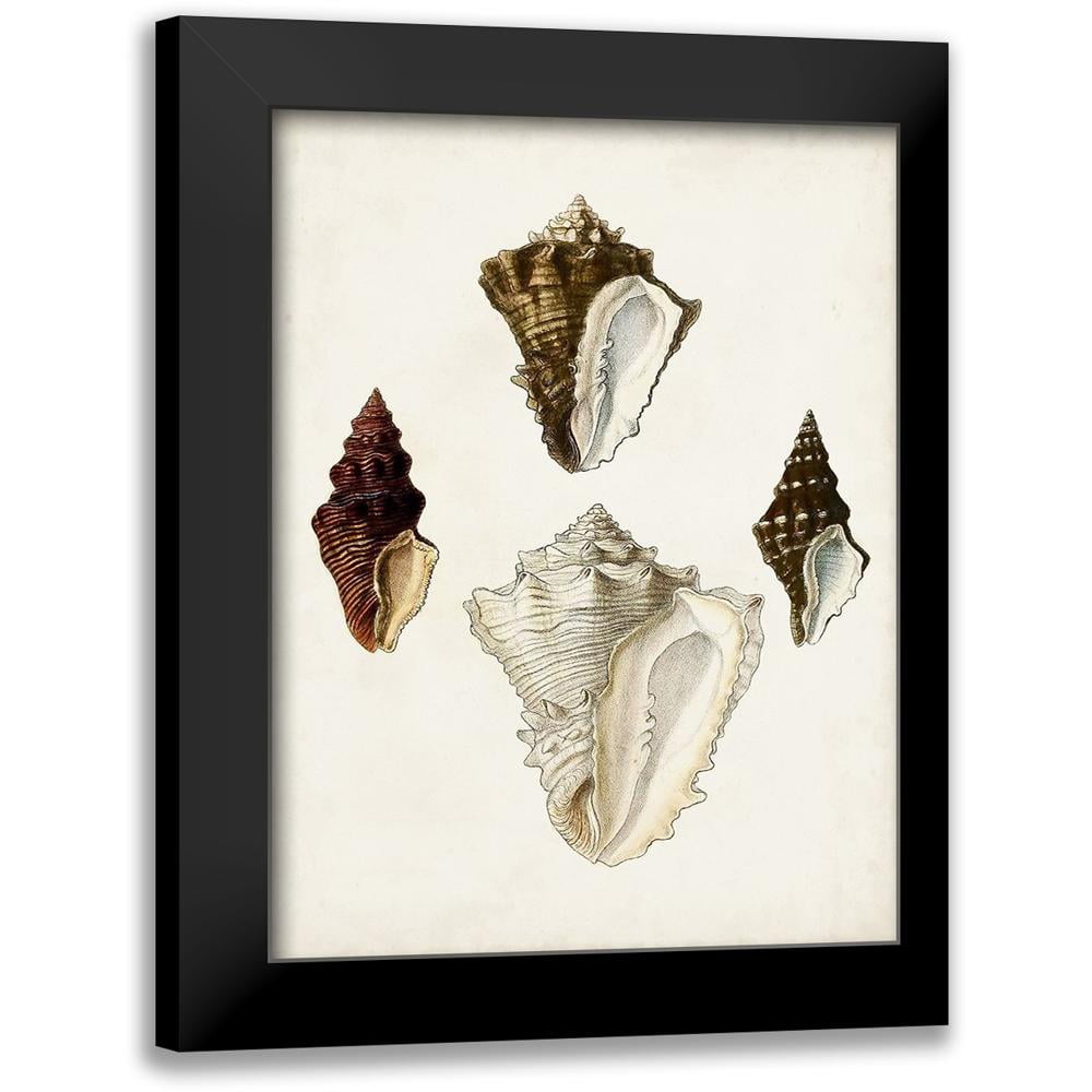 Sowerby, James 12x14 Black Modern Framed Museum Art Print Titled ...