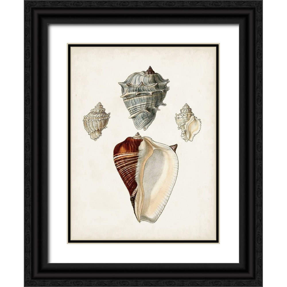 Sowerby, James 12x14 Black Ornate Wood Framed with Double Matting ...