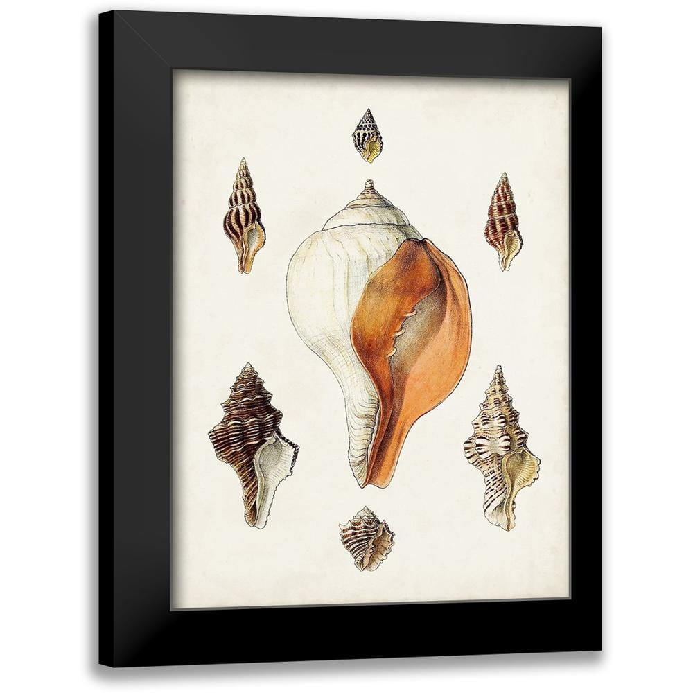 Sowerby, James 15x18 Black Modern Framed Museum Art Print Titled ...