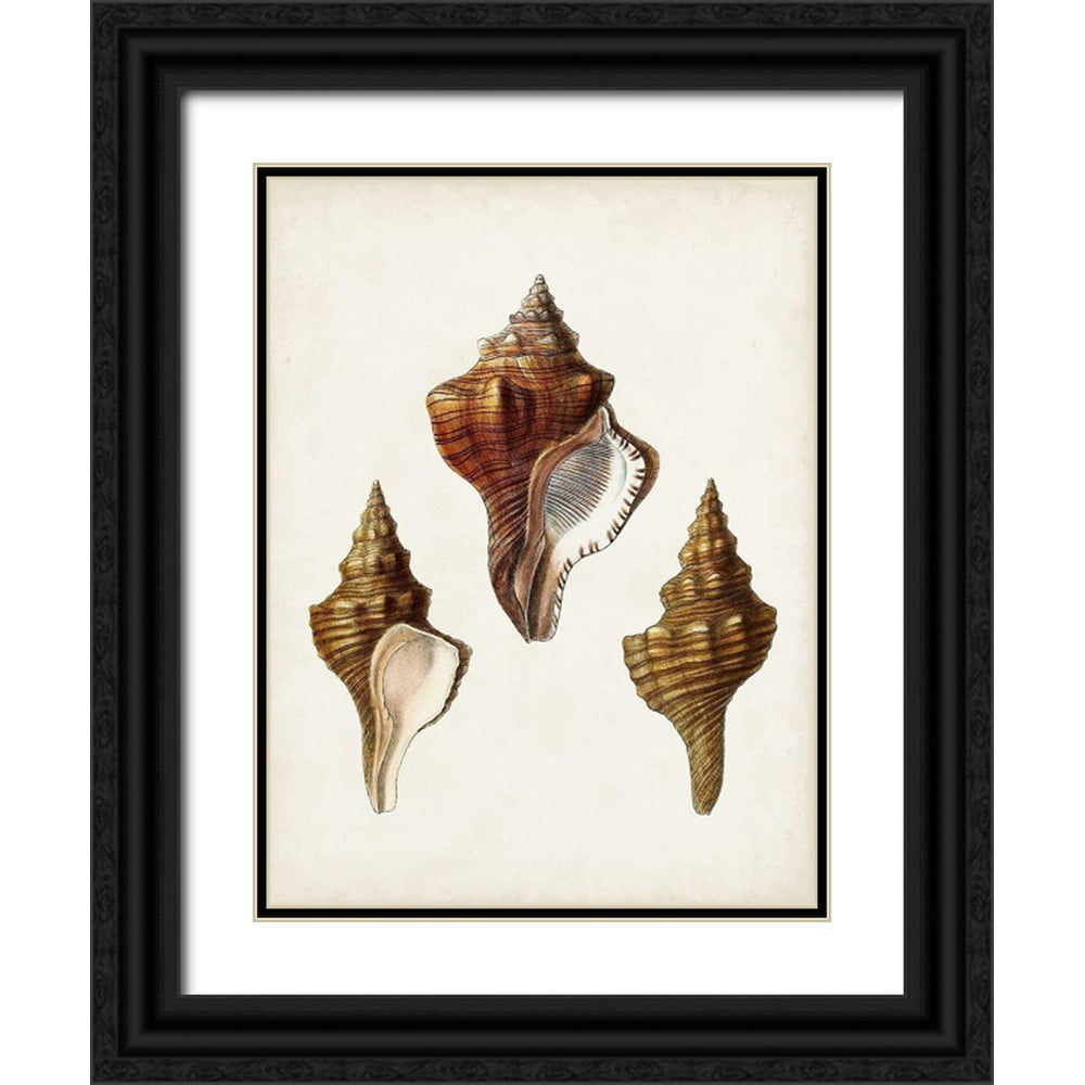 Sowerby, James 15x18 Black Ornate Wood Framed with Double Matting ...