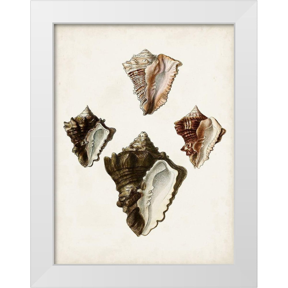 Sowerby, James 15x18 White Modern Wood Framed Museum Art Print Titled ...