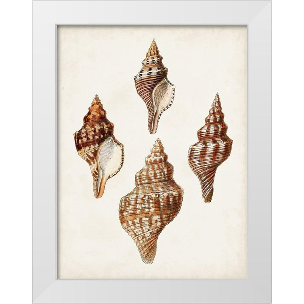 Sowerby, James 15x18 White Modern Wood Framed Museum Art Print Titled ...