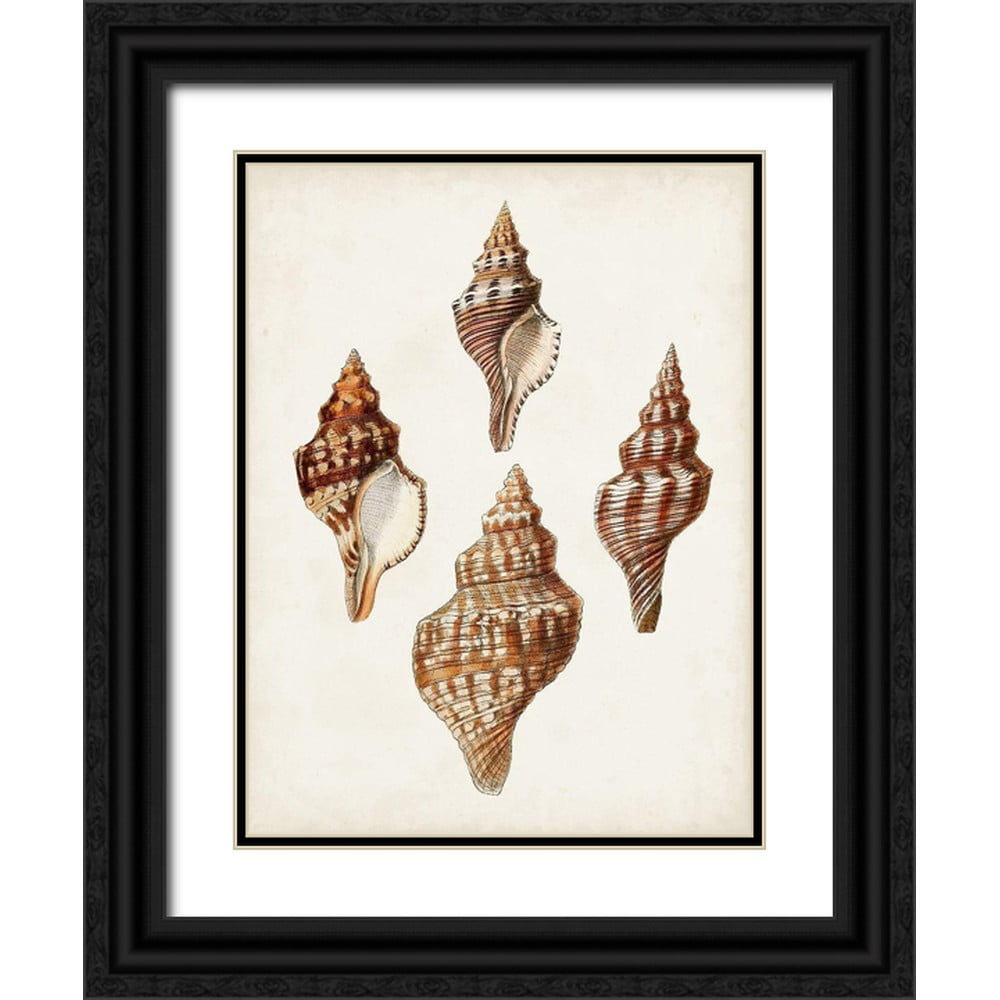 Sowerby, James 19x24 Black Ornate Wood Framed with Double Matting ...