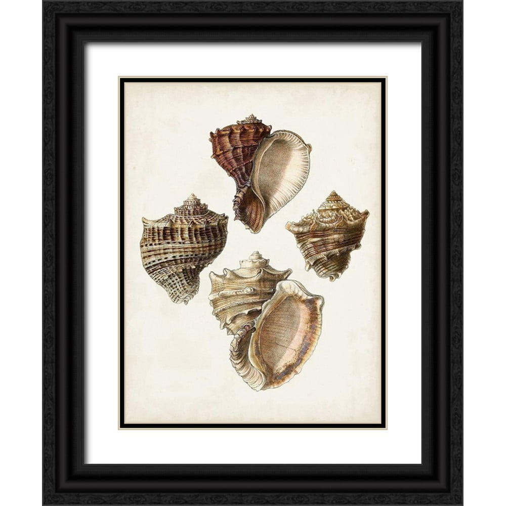 Sowerby, James 19x24 Black Ornate Wood Framed with Double Matting ...