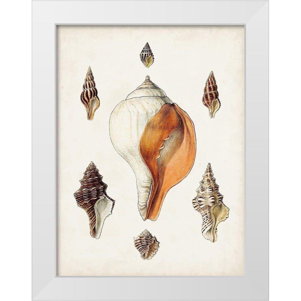 Sowerby, James 25x32 White Modern Wood Framed Museum Art Print Titled ...