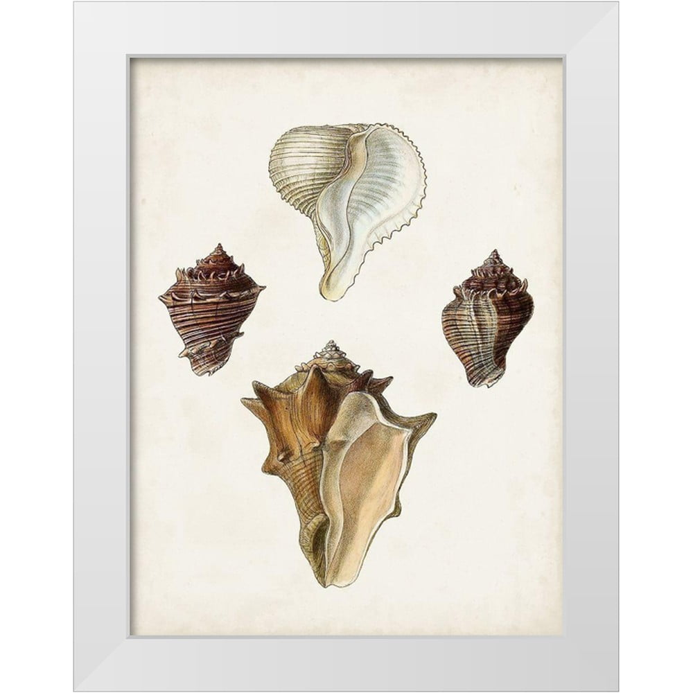 Sowerby, James 25x32 White Modern Wood Framed Museum Art Print Titled ...