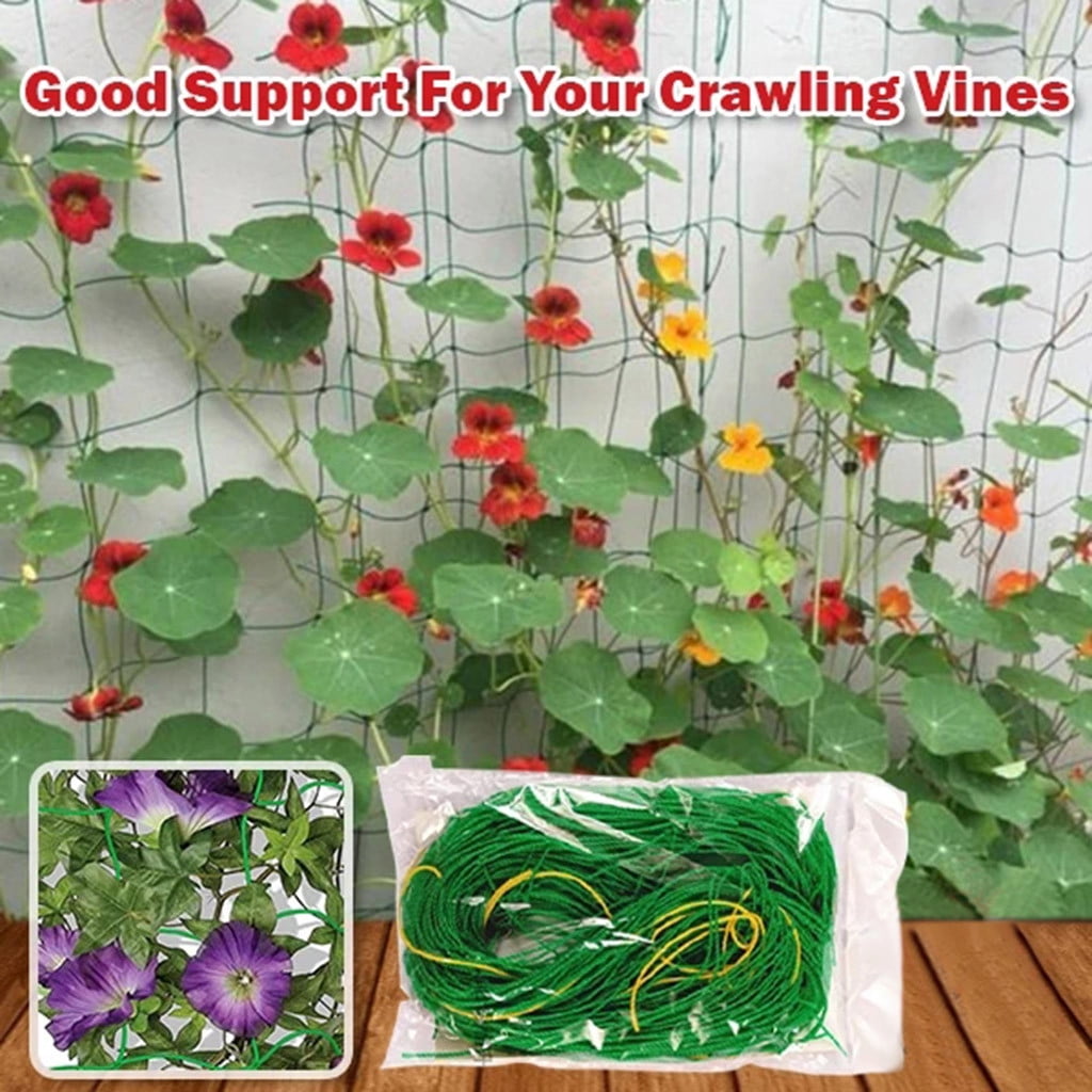Sowing Seeds Dispenser Fruit Vegetable Flower Vine Plants Climbing Net ...
