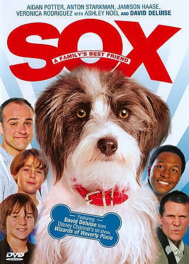 Pre-Owned Sox: The Amazing Dog - Walmart.com