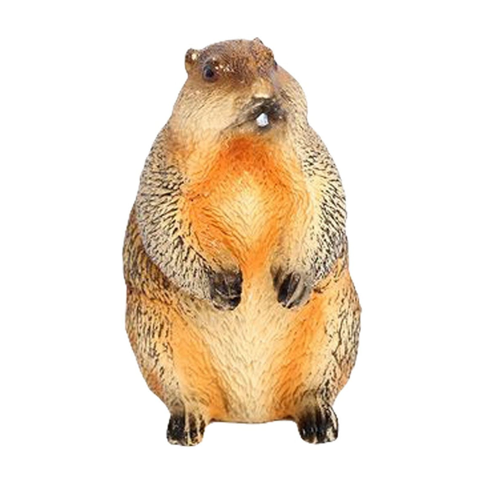Soyumi 1PCS Groundhog Figurine Groundhog Sculpture Groundhog Model ...
