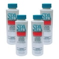 Spa Essentials Calcium Hardness Increaser for Spas and Hot Tubs, 12 ...