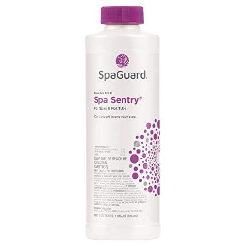 SpaGuard Spa Sentry 1 qt - Walmart.com