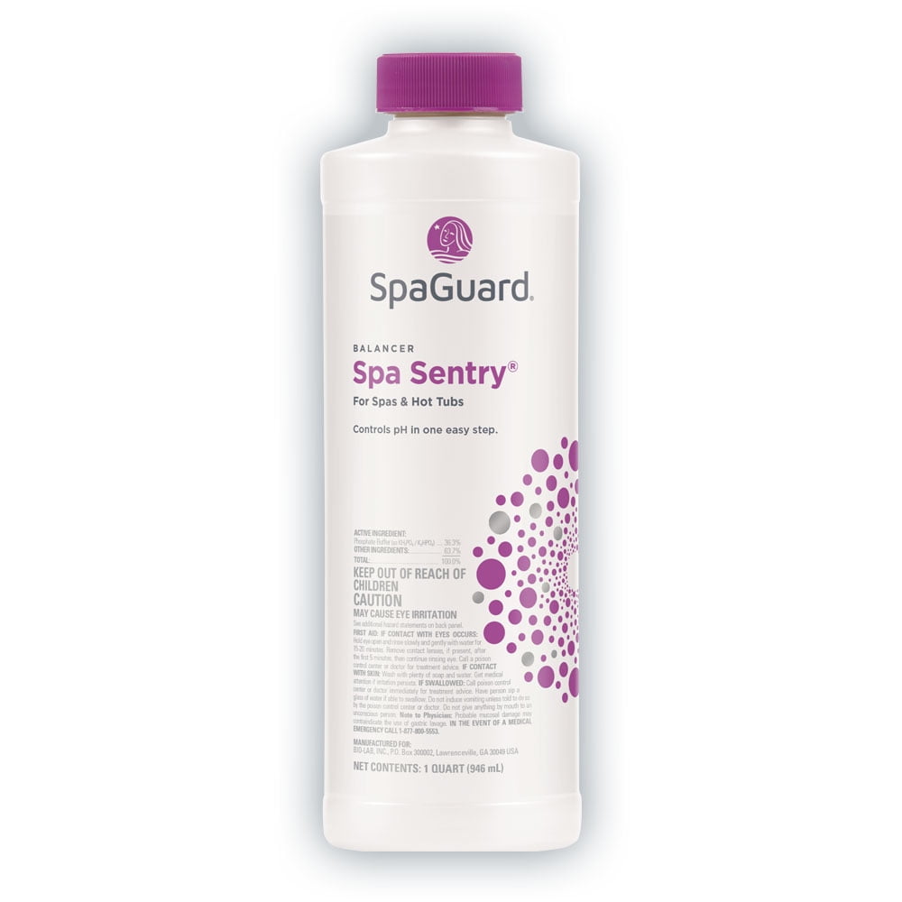 Spa Sentry - Walmart.com