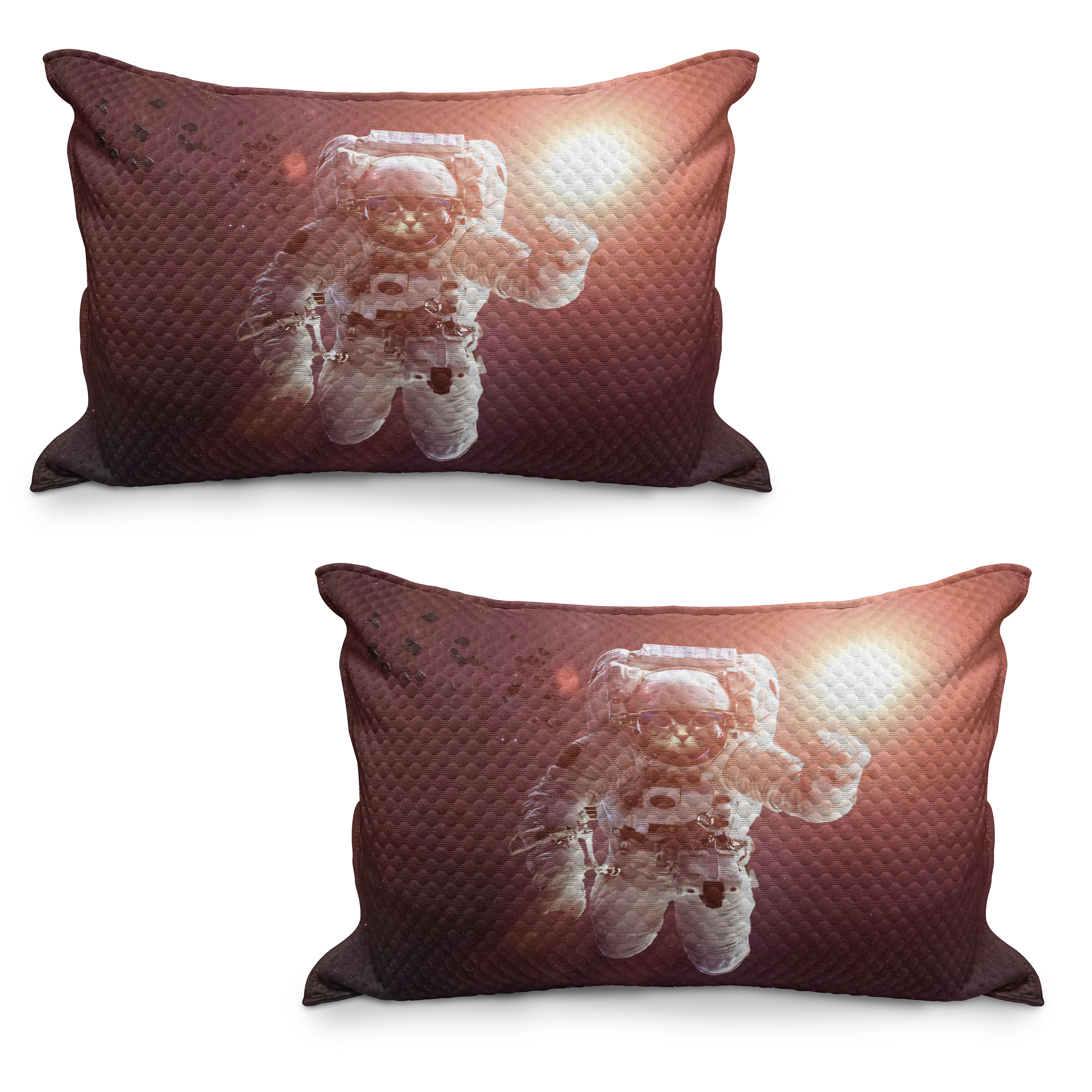 Space Cat Quilted Pillowcover Set of 2, Pet Cat in Outer Space Planet ...
