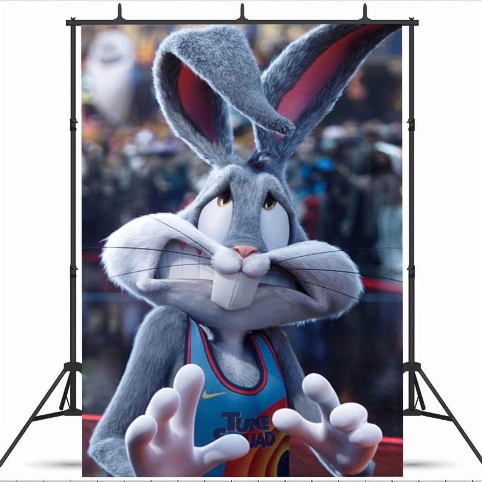 Space Jam Party Supplies Taspestry Poster Banner Backdrop Background ...
