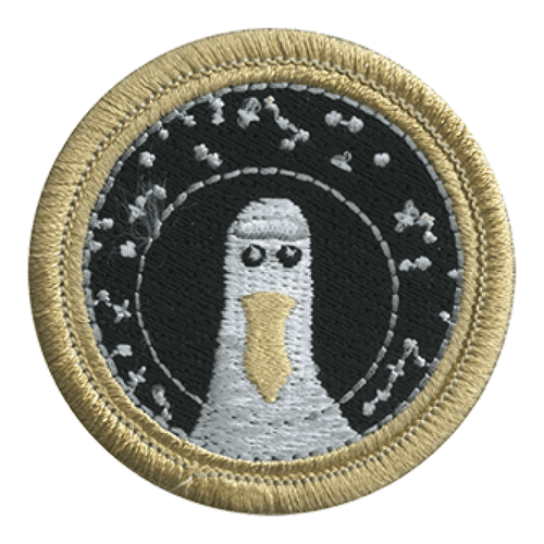 Space Seagull Scout Patrol Patch (Sew-on) - ClassB - Walmart.com