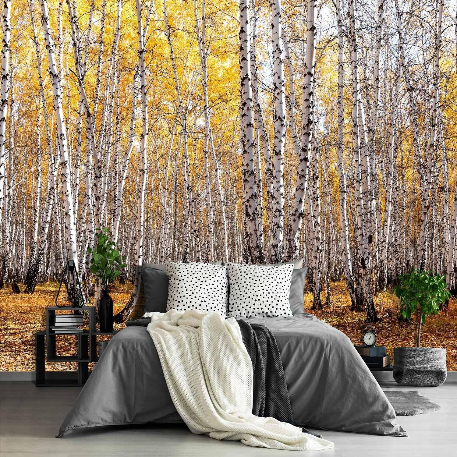 - Space Wallpaper Bedroom Extra Large Wall murals Living Room couches ...