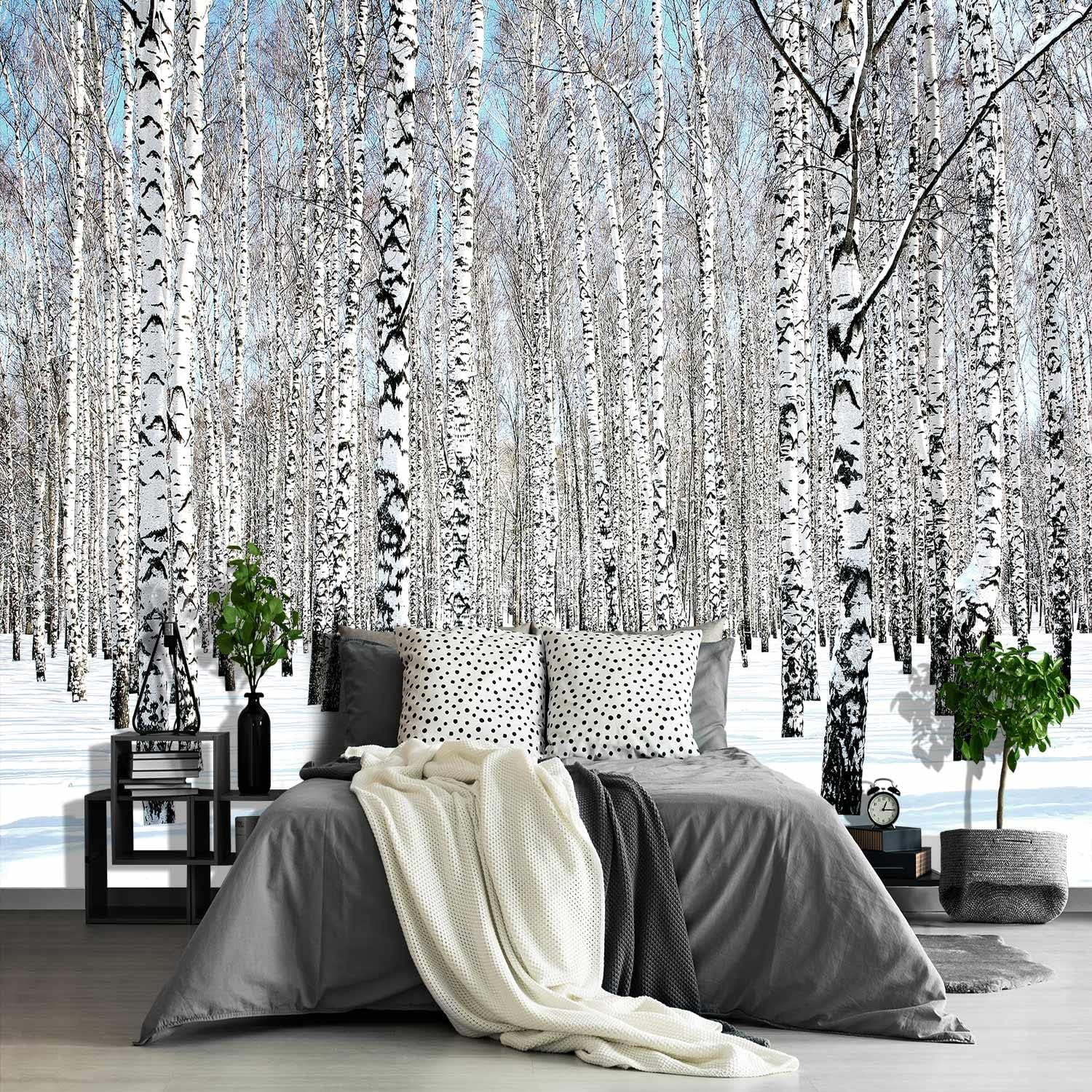 - Space Wallpaper Bedroom Extra Large Wall murals Living Room couches ...