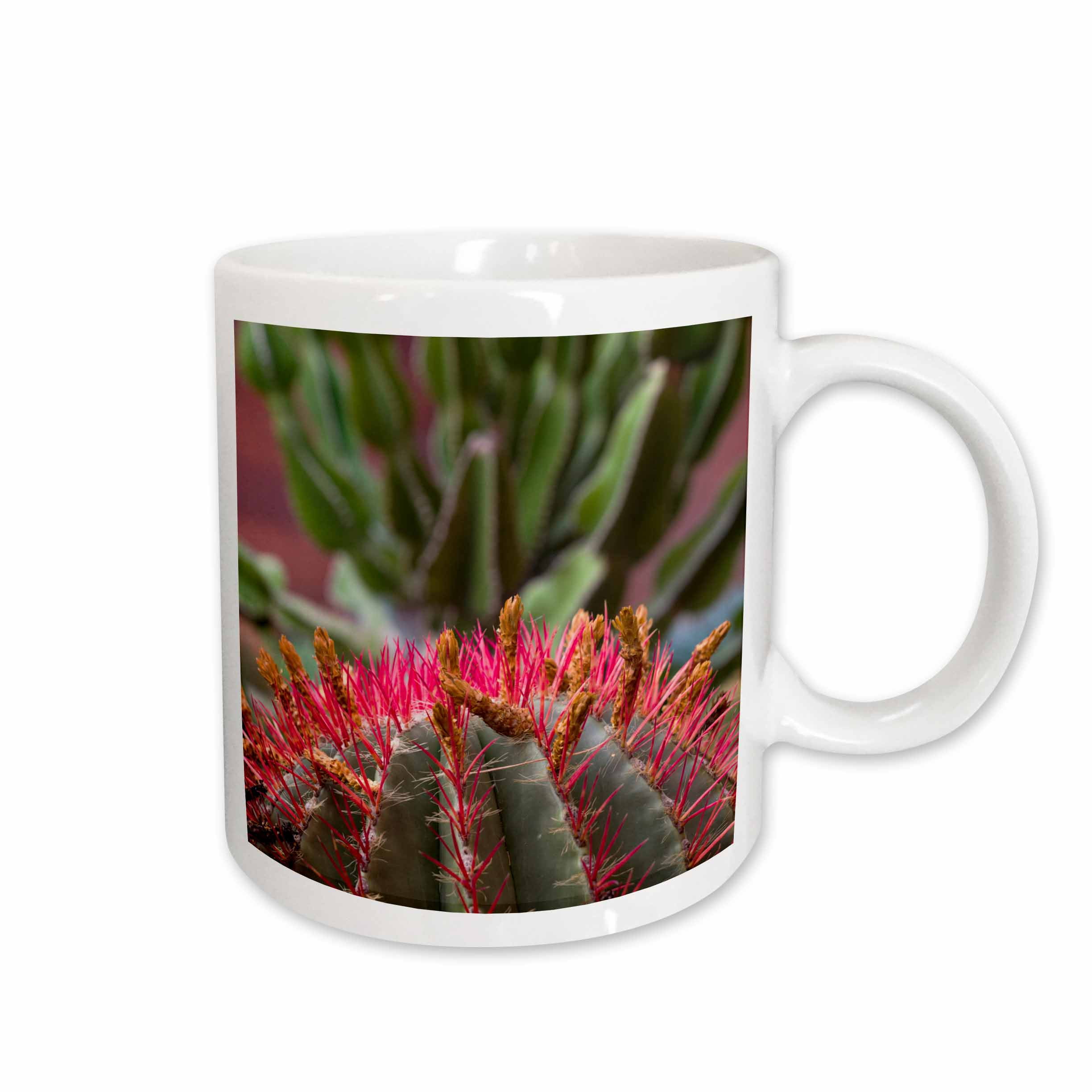 Spain, Canary Islands, San Sebastian de la Gomera, cactus detail 11oz ...
