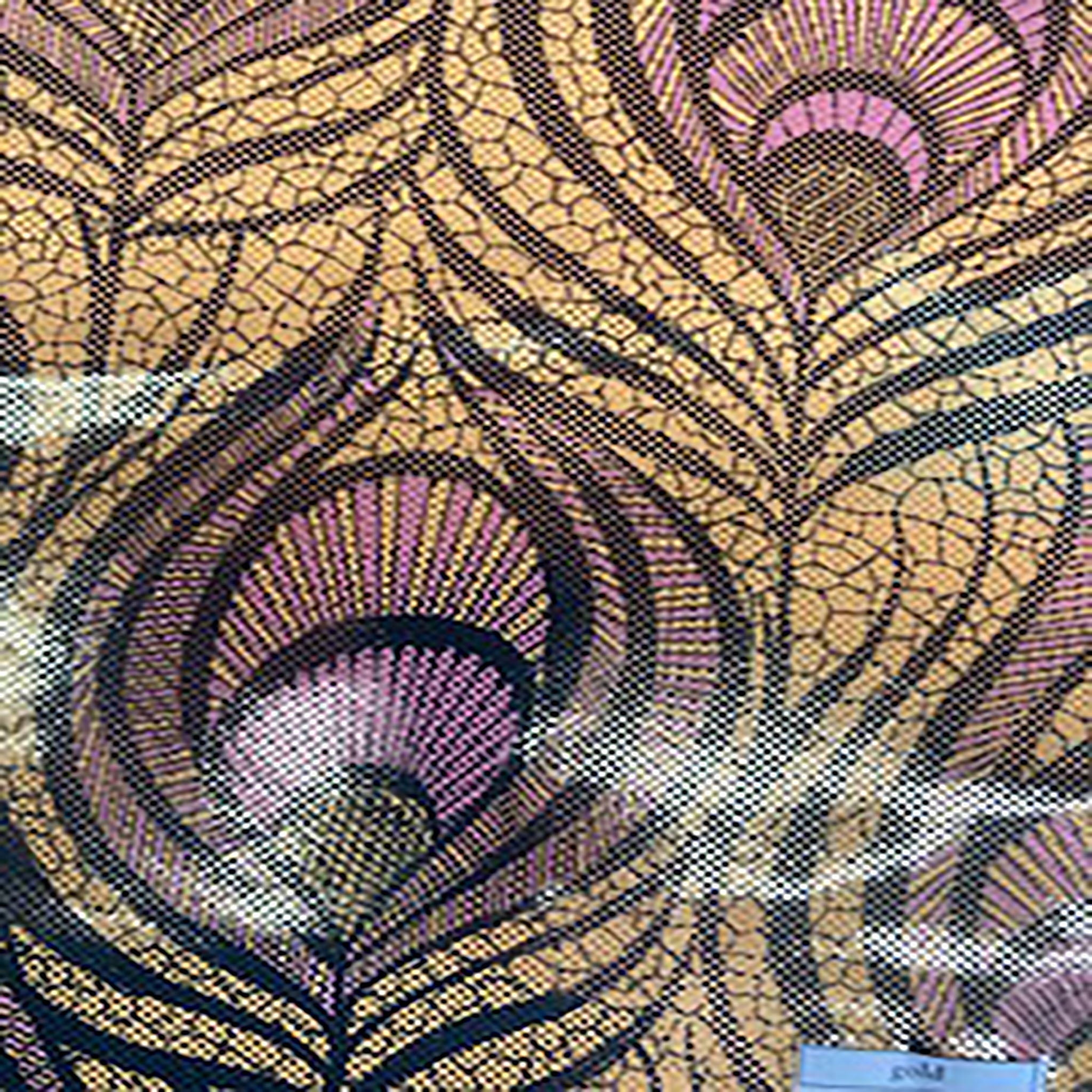 Spandex Palace Nylon Spandex Foil Fabric with Peacock Magic Eye Design ...