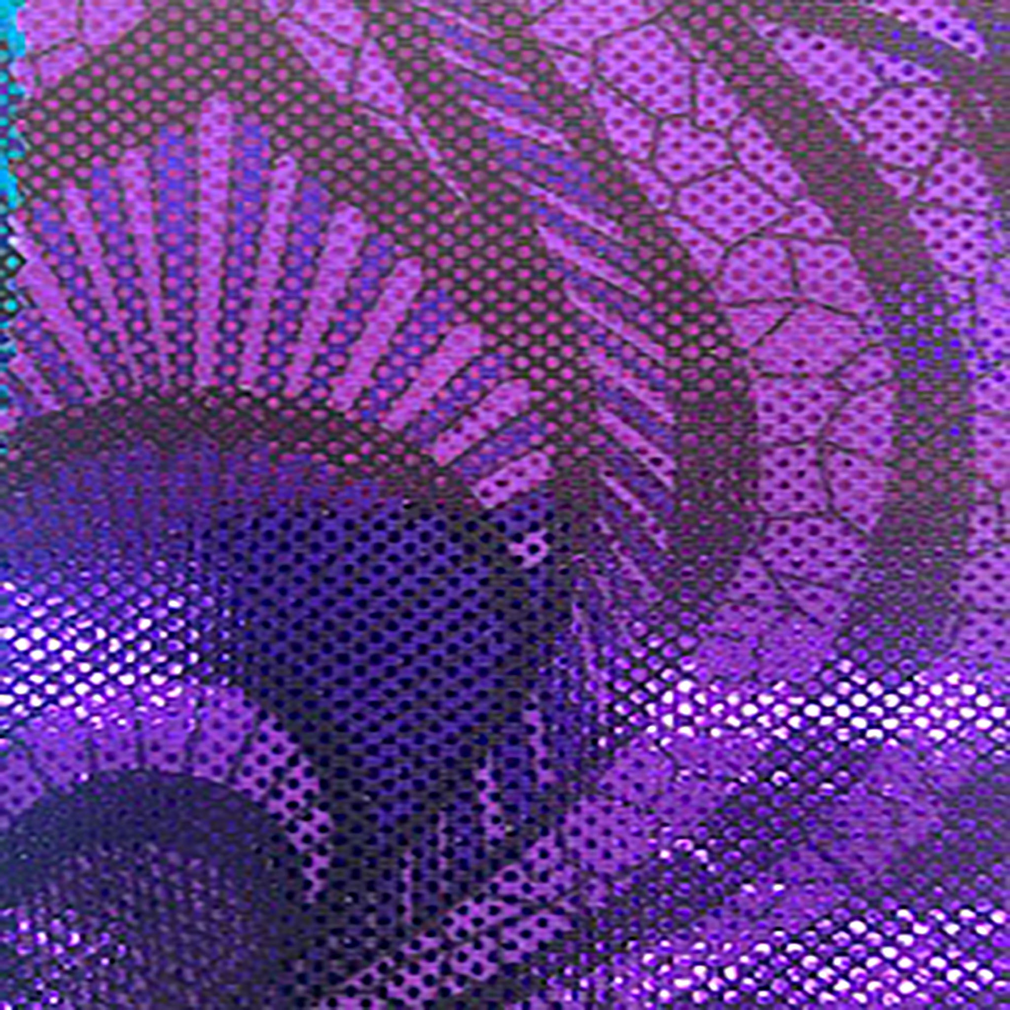 Spandex Palace Nylon Spandex Foil Fabric with Peacock Magic Eye Design ...