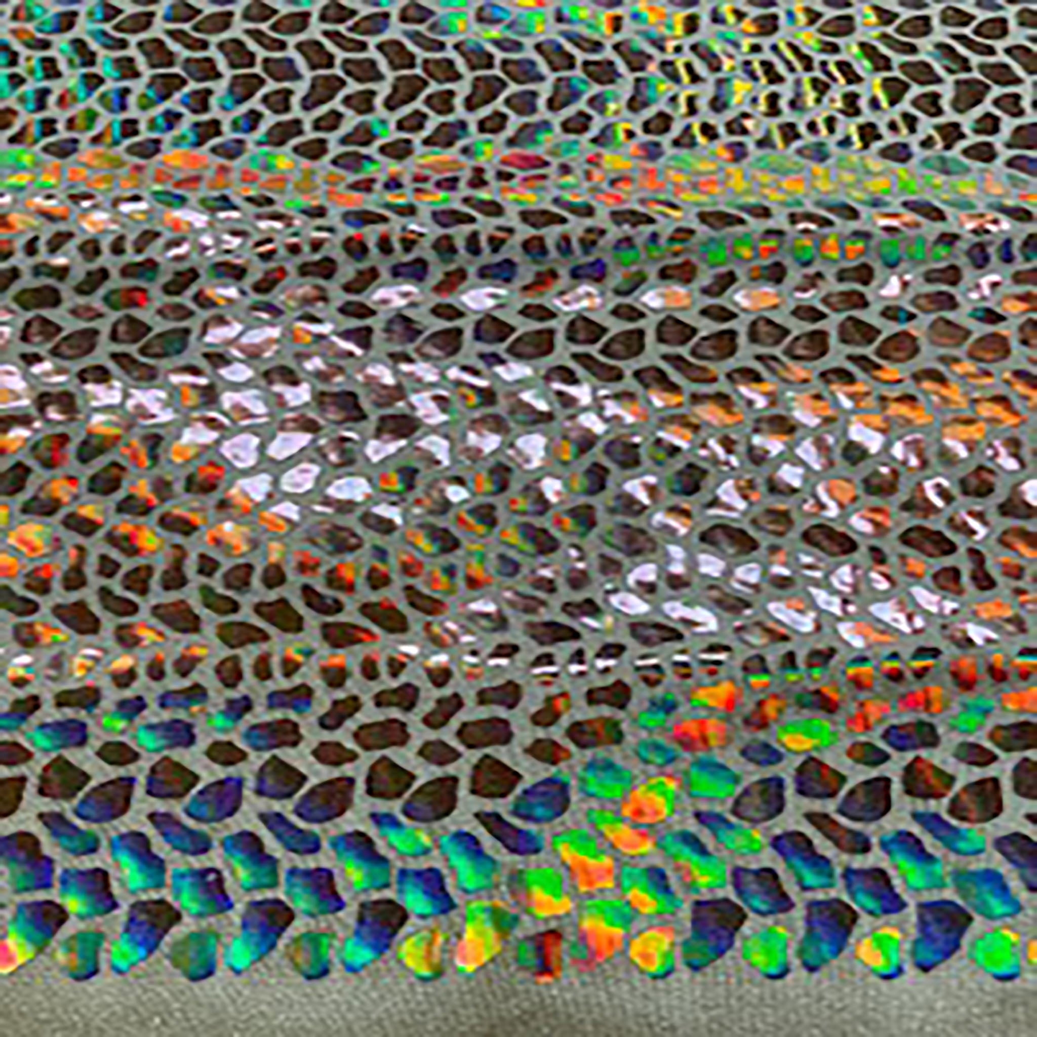 Spandex Palace Stretch Nylon Spandex Fabric with Cobra Hologram Glued ...