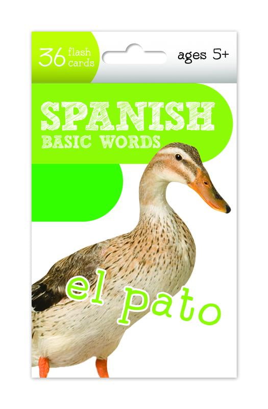 Spanish Basic Words Flashcards 36 Pack Age 5+ Early Language Learning ...