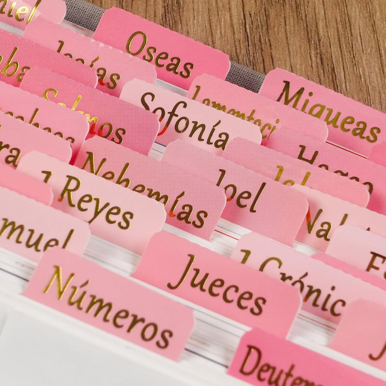 Spanish Bible Tabs for Women, Gold Foiling Pestañas para Biblia en ...