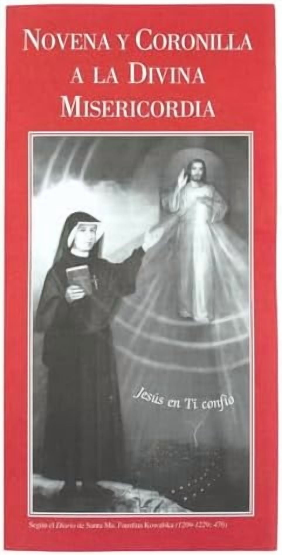 Spanish Divine Mercy Novena and Chaplet Booklet - Pack of 10 ...