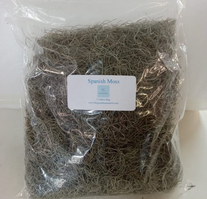 Spanish Moss 2 Gallon Bag- Decorations, Bioactive Terrarium, Vivarium ...