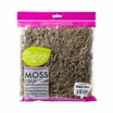 Proflora Preserved Green Spanish Moss, Natural 530 CU in - Floral ...