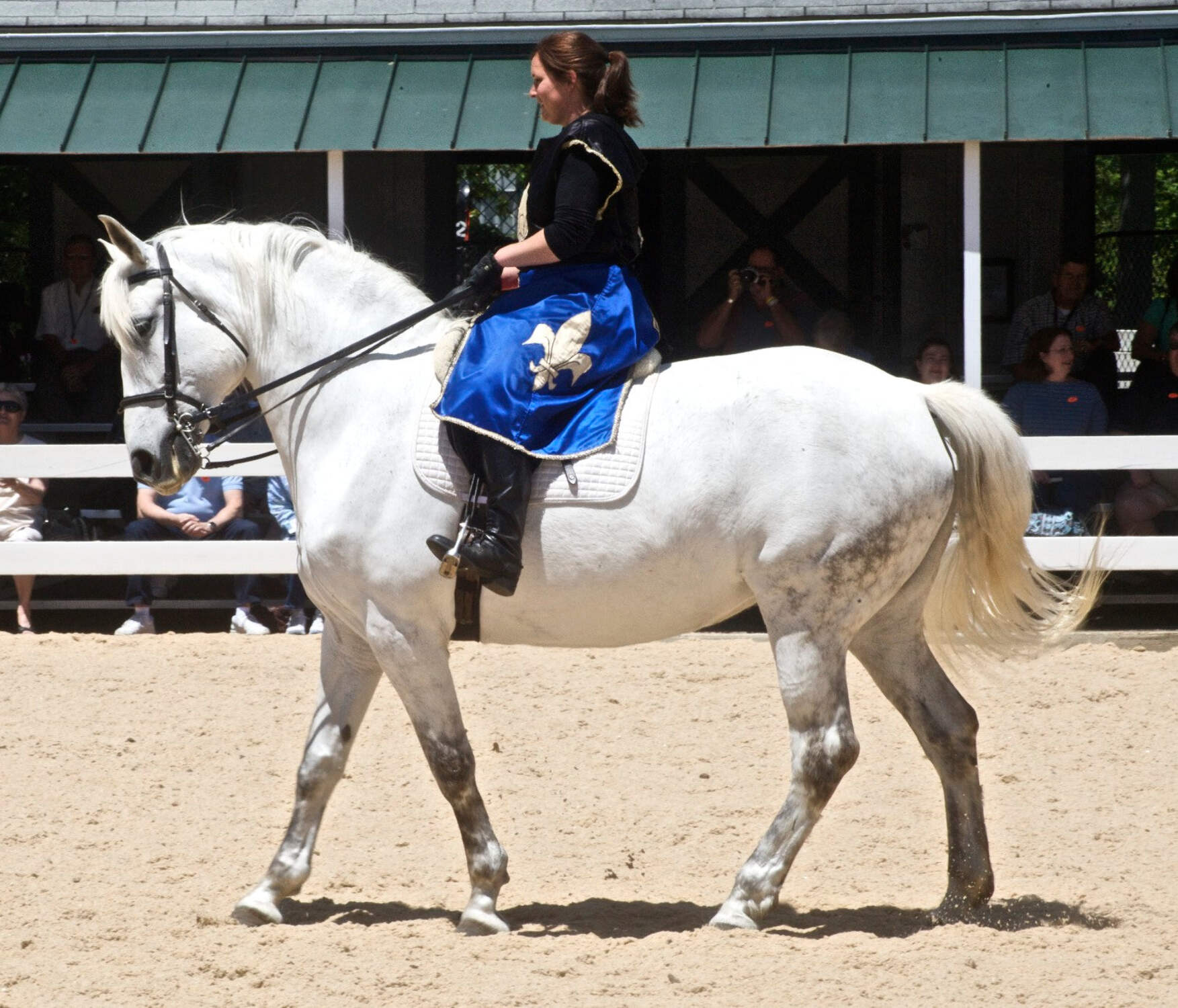 Spanish Norman Horse Rider GLOSSY POSTER PICTURE PHOTO PRINT BANNER ...