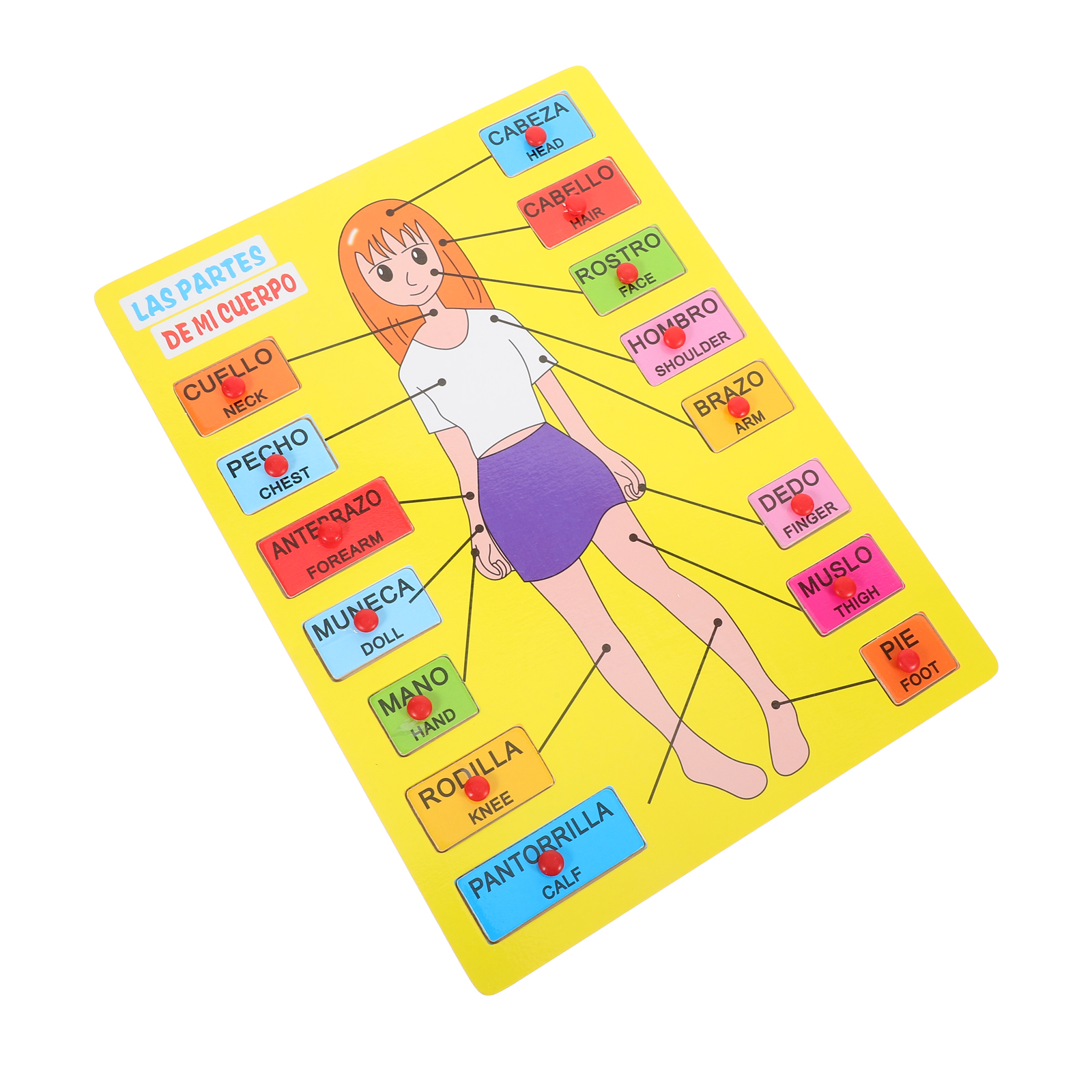 Spanish Puzzle Human Cognitive Tool Teaching Aids Learning Toy Puzzles ...