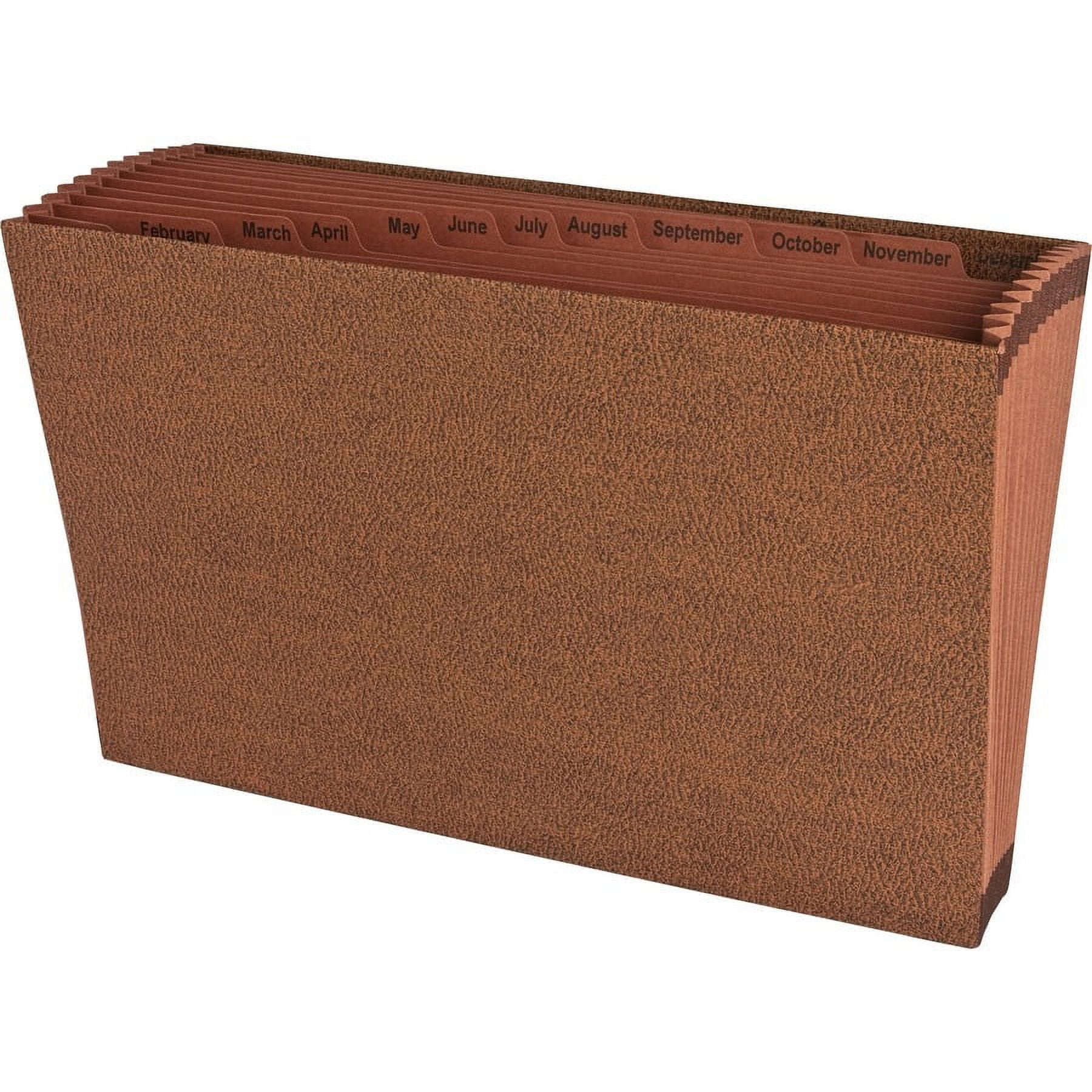 Sparco No Flap Heavy-Duty Accordion Files, Brown, 1 Each (Quantity ...