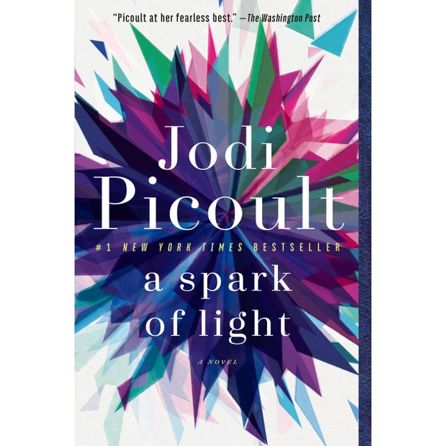 Spark of Light: A Novel - Walmart.com