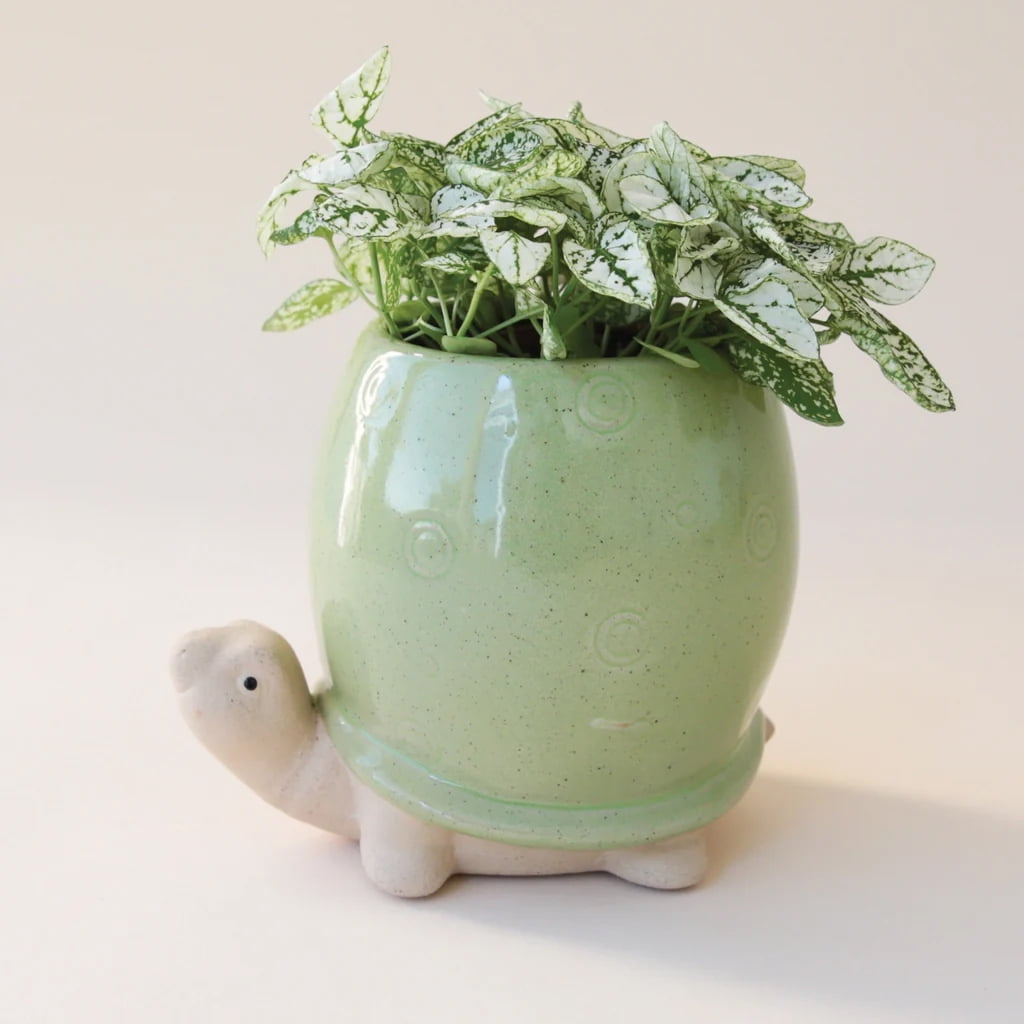 SparkDazzle 5" Turtle Green Ceramic Plant Pot - Walmart.com