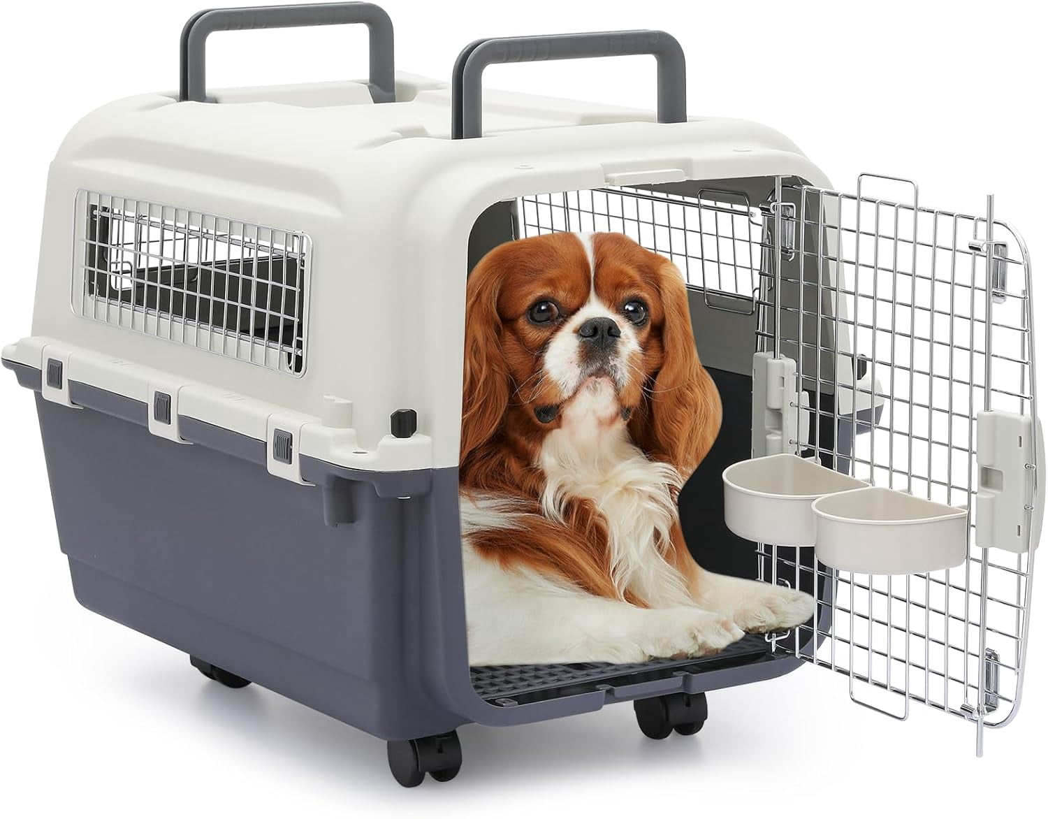 SparkTrend 25.5-Inch Plastic Carrier with Wheels for Small Dogs and ...