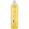 Sparkling ICE? Coconut Pineapple Sparkling Water 17 fl. oz. Plastic Bottle - Walmart.com