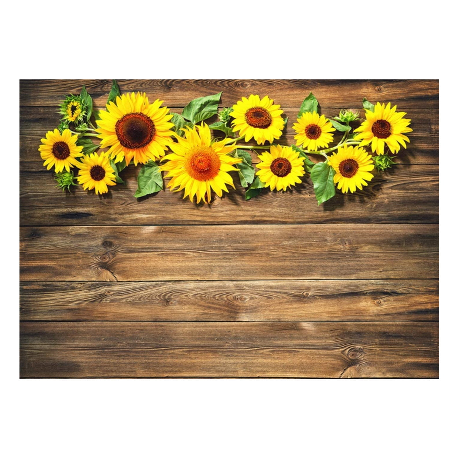 Sparkly Curtains 2i2 Studio Portable Light for Pictures Monthly Clubs Soup Turning Product ...