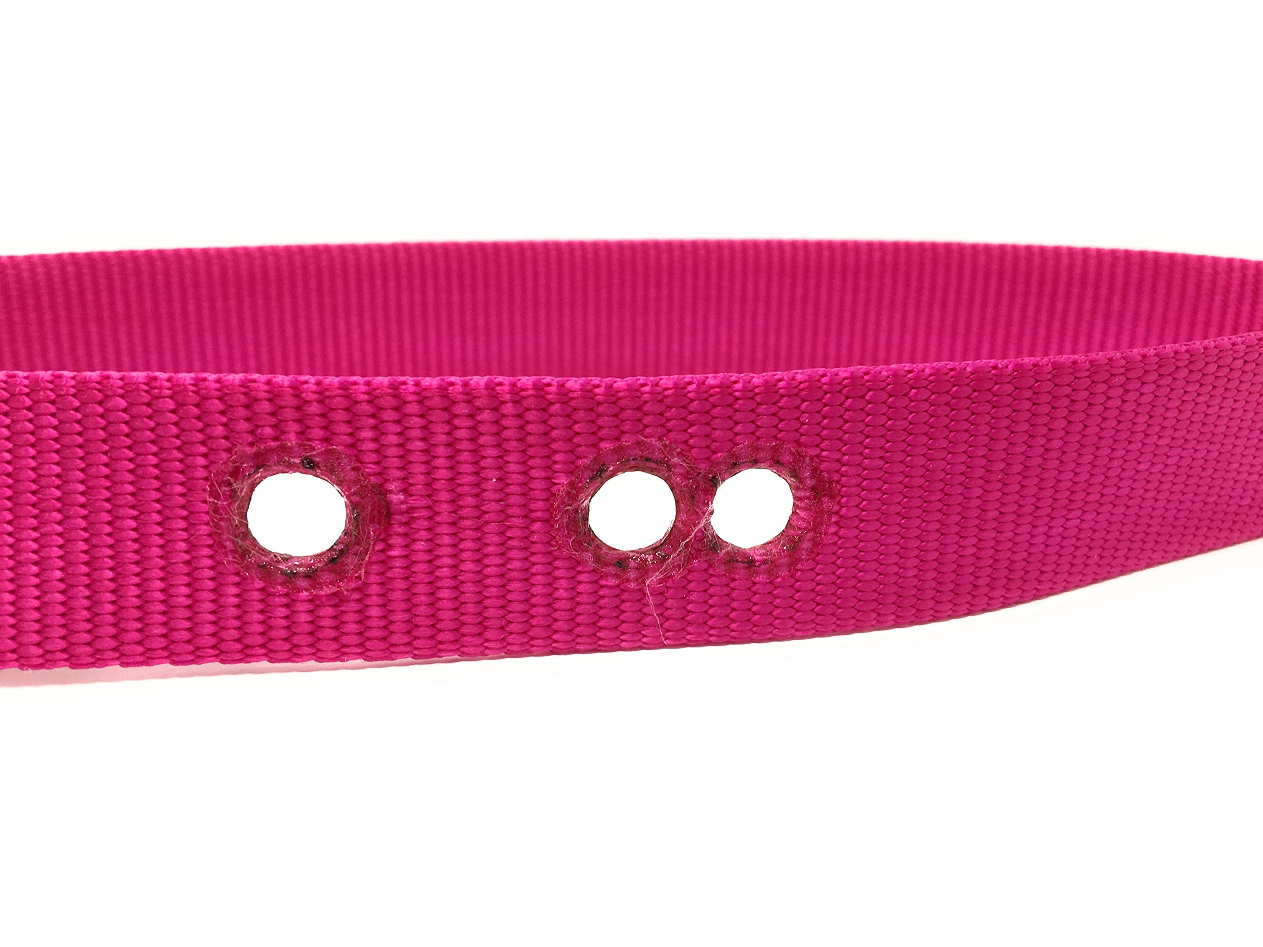 Sparky Pet Co Heavy Duty Nylon 3/4" 3 Non Consecutive Hole Replacement ...